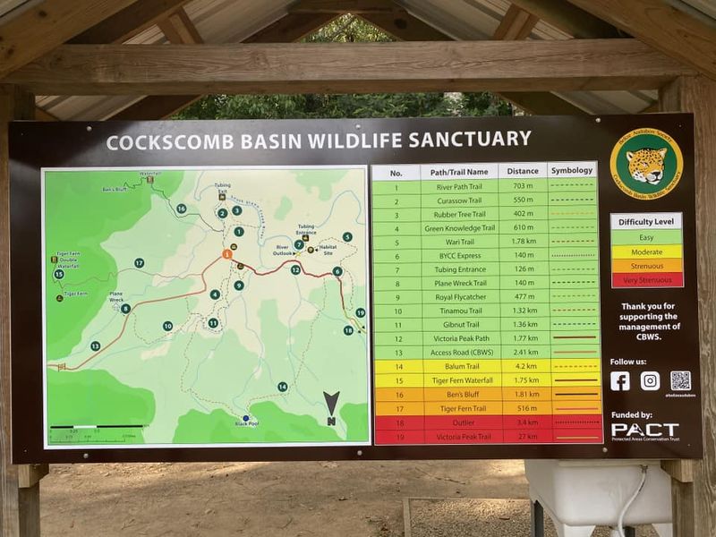 Cockscomb Basin Wildlife Sanctuary: Complete Guide 2025 - Nayawalk