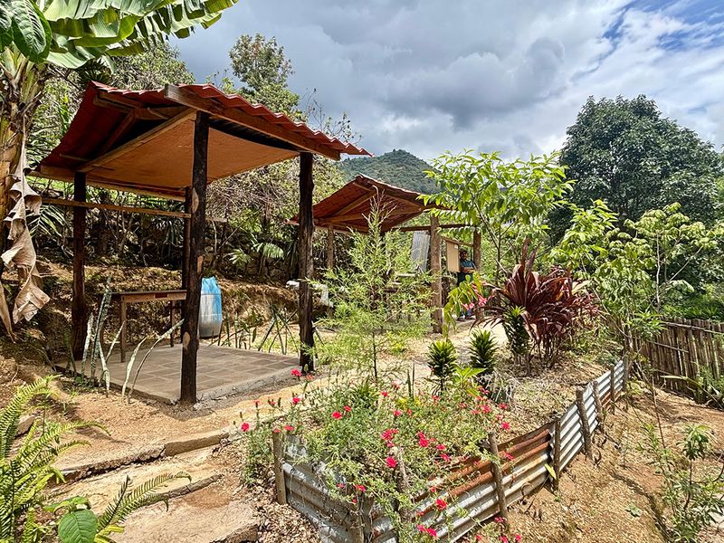 Maya Magic Spanish School In San Pedro: An Honest Review - Nayawalk